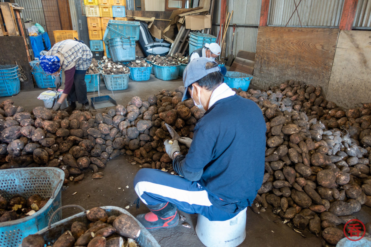 Furusawa Distillery: Shochu, tradition, and climate change - Nomunication